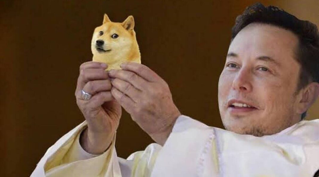 The 'Doge' dog meme that Elon Musk loves, explained in 1 minute - Techkip